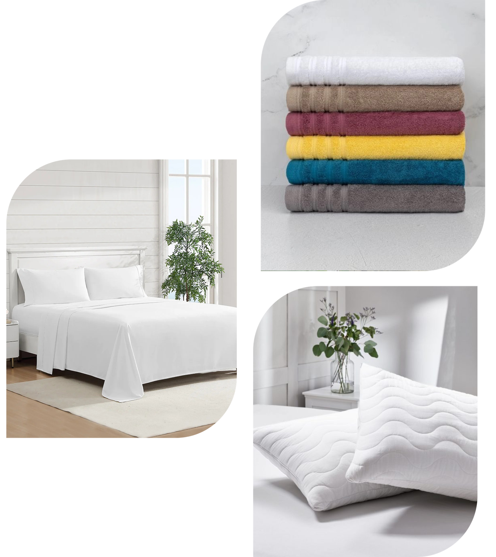 Limo Plantaion – Limo Plus International